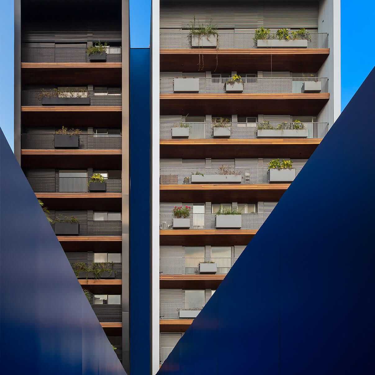 Joaquim 499 | Idea!Zarvos